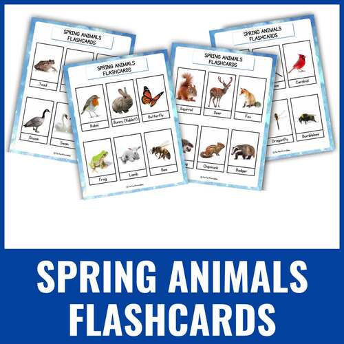 Spring Animals Flashcards - Springtime Vocabulary Cards for ESL & Early ...