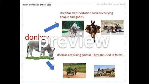 BUNDLE- Farm Adult Animal Uses–Information Slides, Activity Slides ...