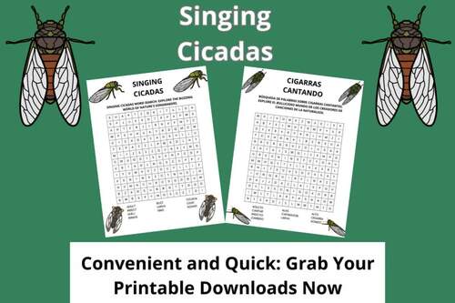 Cicada Word Search-Available in (English & Spanish). For K-2nd grade.