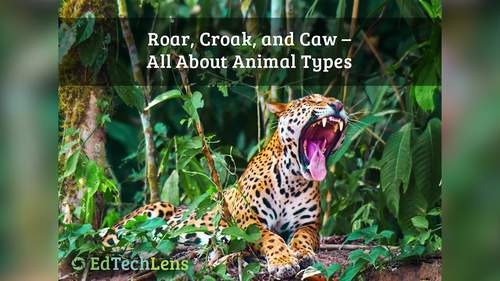 Biodiversity and How Animals Grow and Survive in a Rainforest Habitat ...