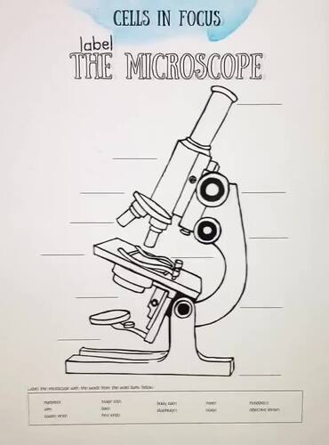 grade 6 - 12 Biology Intro to the Microscope full thematic unit, worksheets