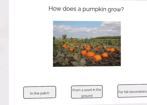 Halloween How Questions | Speech Therapy Boom Cards™ | TPT