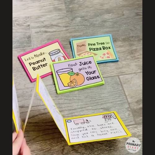 Benchmark Advance Second Grade Unit 9 Project - Product Book | TpT