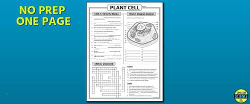 Plant Cell Homework Review Worksheet / Test Prep | Print & Google ...