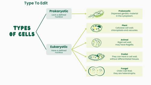 Ready Made Presentation - Cells - Life Science - Ready To Edit! Mini Lesson