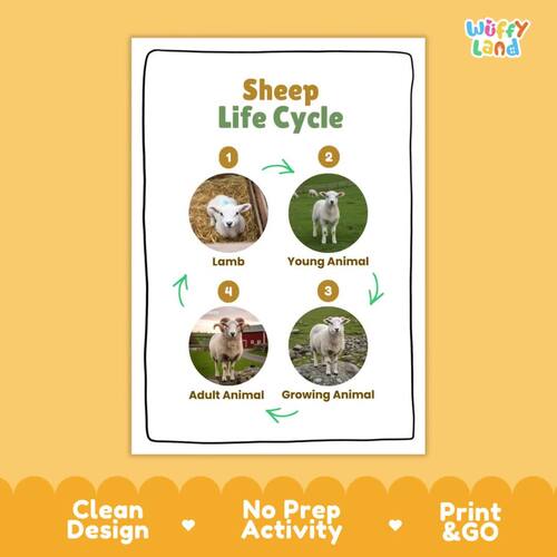 Sheep Life Cycle Chart & Cut and Paste Activity | Farm Animal Biology ...