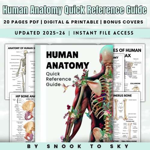 Human Anatomy Guide, Human Body Systems Quick Guide, Med Study Anatomy PDF
