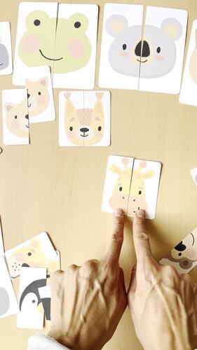 Animals Matching Game For Toddlers, Find a Pair Puzzle Match Picture ...