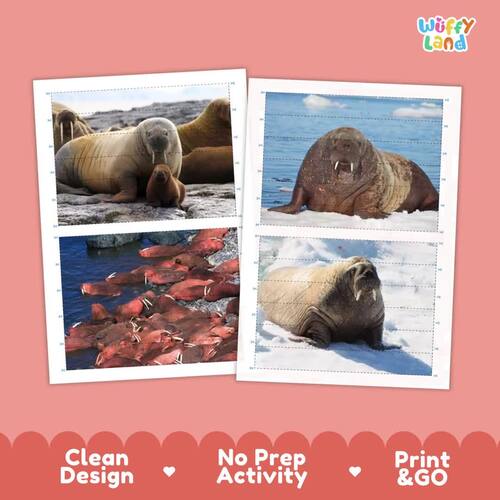 Walrus Cut and Match Activity | Arctic Animal Fine Motor Craft ...