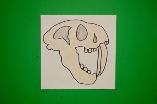 Let's Draw a Saber Tooth Tiger FOSSIL! by Patty Fernandez Artist
