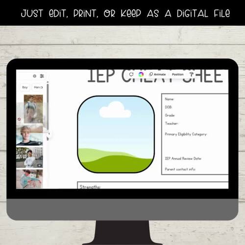 Editable IEP at a Glance Template | IEP Snapshot | IEP Cheat Sheet ...