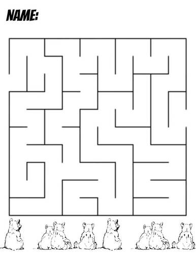 Polar Bear Maze Puzzles - Mazes for Polar Bears by Ladybug Lane Creations