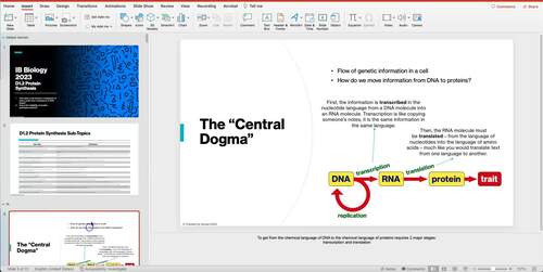 IB Biology 2023 New Syllabus D1.2 Protein Synthesis PowerPoint | TPT