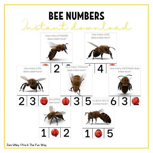 Bee Numbers, Counting, and Science Activity for Preschoolers by Jeni Utley