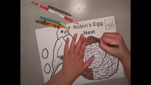 Cut and Paste Robin’s Egg Nest Craft Fine Motor Skills Bird Art Activity