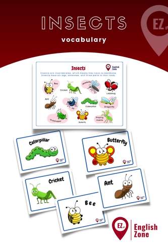 Insects flashcards by Andy Virtual Teacher - Crafts for your class