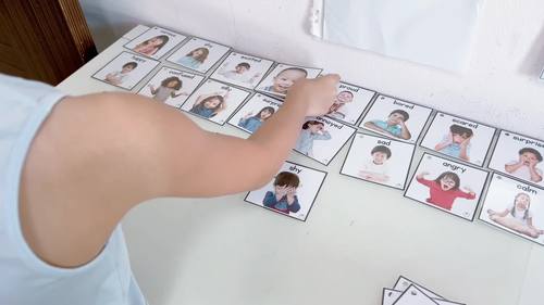Emotions and Feelings Flash Cards| Task Cards| Sorting Mat| Special ...