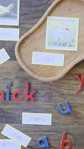 Modern Montessori Reading SOR Digraph picture to word match by ...