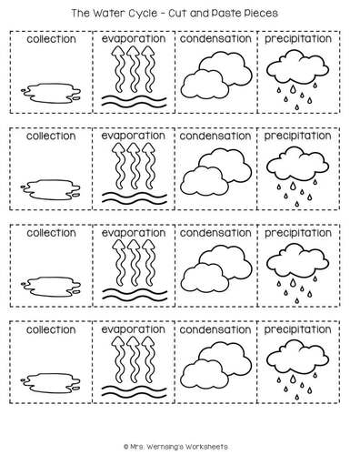 Water Cycle Activities - KINDER SCIENCE by Mrs Wernsings Worksheets