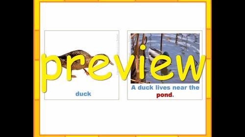 Animal Homes–Flash slides, Matching, Drag drop Activities. GOOGLESLIDES