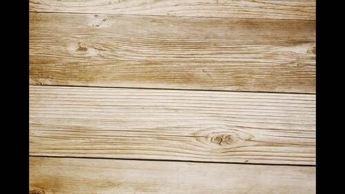 Woodland Animal Shape Sort- Preschool, Kindergarten, Special Education