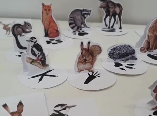 Woodland Animal Track Matching Game, Animal Tracks Cards, Animal Footprints