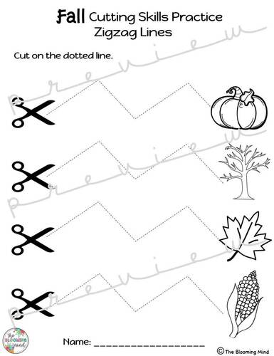 Cutting Practice Scissor Skill Worksheets by The Blooming Mind | TPT