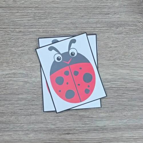 Spring Size Sequencing Activity by HH Fun and Learning | TPT