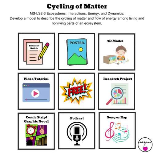 Ecosystems Choice Board Bundle (MS-LS2) by Dr B Science | TPT