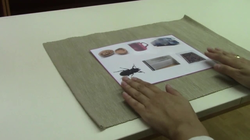 Montessori Pink series card sheet and labels by Montessori Tube | TpT