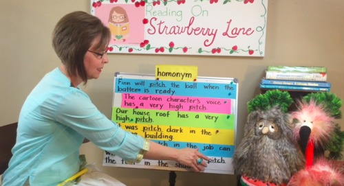 VIDEO: Reading: Set 1. Lesson 53. Word Family Pattern -og | TPT