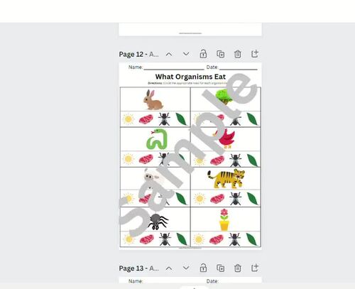 8 Life Science Kindergarten Science Activity, NGSS standards, Labs, Games