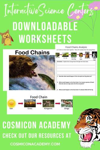 Food Chains Science Center | Science Worksheets by Cosmicon Academy