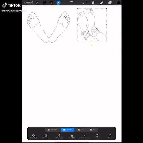 100 Procreate feet brushes stamps, Procreate foot anatomy brush stamp