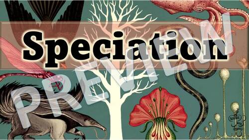 Speciation Lesson Bundle for Biology (Interactive PPT, Guided Notes ...