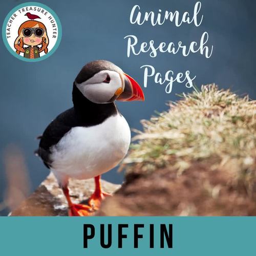Puffin non-fiction article to write informational animal reports 1st ...