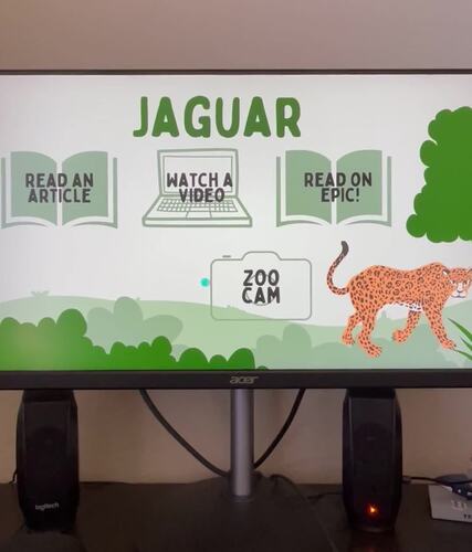 Zoo Jungle Animals Digital Research / Virtual Field Trip Editable Slides