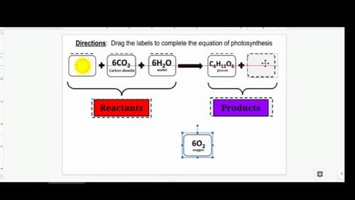 Photosynthesis Interactive by iLearn Science | TPT