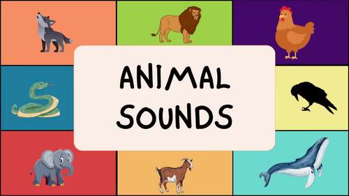 Sounds Animals Make. Video. PPTx. Audio. Kindergarten. Pre-school.
