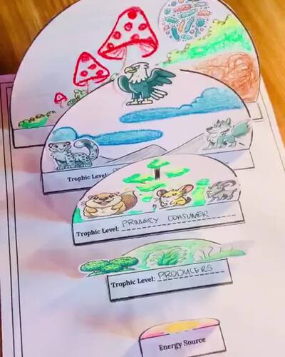 BUNDLE NGSS Design/ Make a Model: Food Web 3D - 12 Biomes by Markimatics