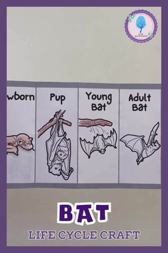 Bat Life Cycle Foldable Activity | Montessori Classroom | Halloween ...