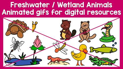 Animated GIFs Freshwater Wetland Animals | Animal Kingdom Clip Art
