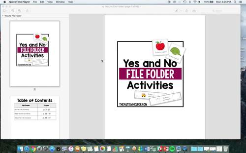 Yes and No File Folder Activities by The Autism Helper | TPT