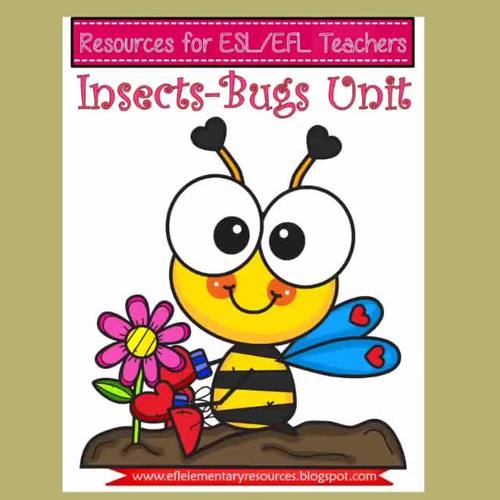 Insects or Bug Theme for Kindergarten ELL | TPT
