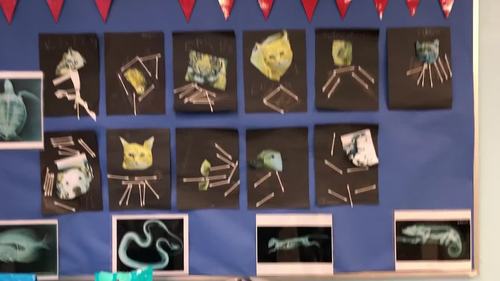 Pet Vet Animal Hospital | Pretend Play Printables for Dramatic Play Center