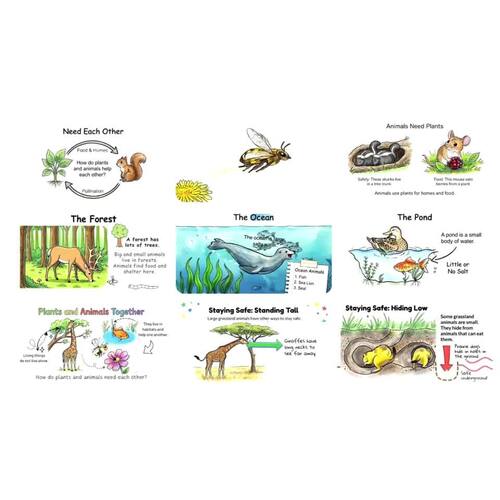 Plants&Animals Together Animated Slides |Doodle Note Science |Teaching ...