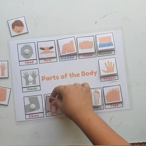 Busy Binder Activity, Parts of the Body, Preschool Curriculum, Toddler ...
