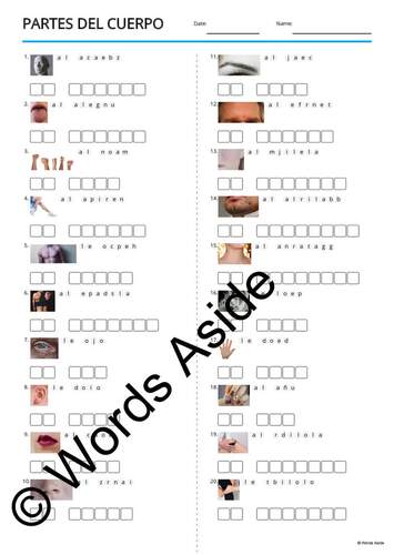 Spanish Vocabulary Worksheets Cards Crossword Word Search Anagram BODY ...
