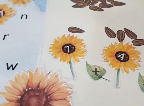 Sunflower Activity Pack, Sunflower Unit, Fall Paper Crafts, Cut & Paste ...