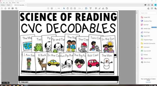 Science of Reading CVC Decodables PRE-LOADED TO SEESAW & GOOGLE SLIDES